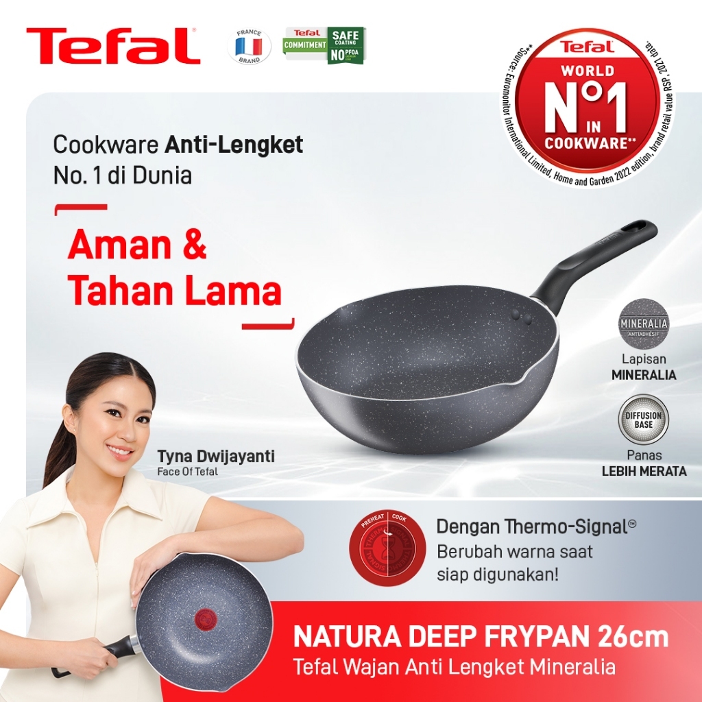 Jual Tefal Natura Deep Fry Pan / Panci Wajan Anti Lengket 26 cm (GRADE A) TLNTDFB2266595-A ...