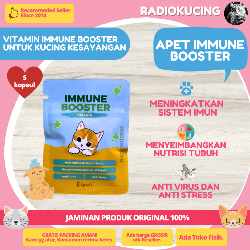 Jual APET Immune Booster Sachet isi 5 Kapsul Vitamin Meningkatkan ...