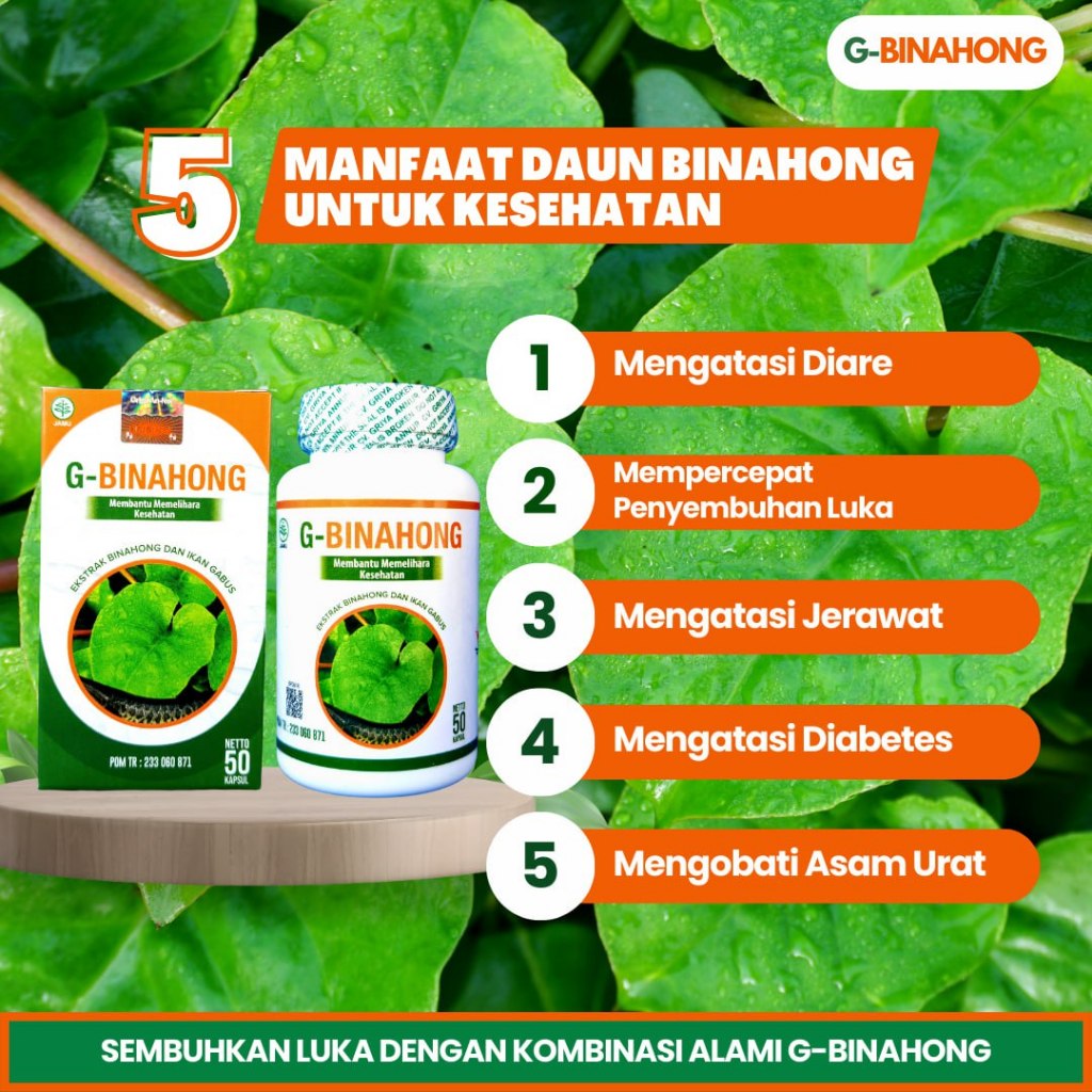 Jual KAPSUL G BINAHONG Ekstrak Ikan Gabus Dan Daun Binahong Obat Luka Pasca Operasi Dan Luka ...