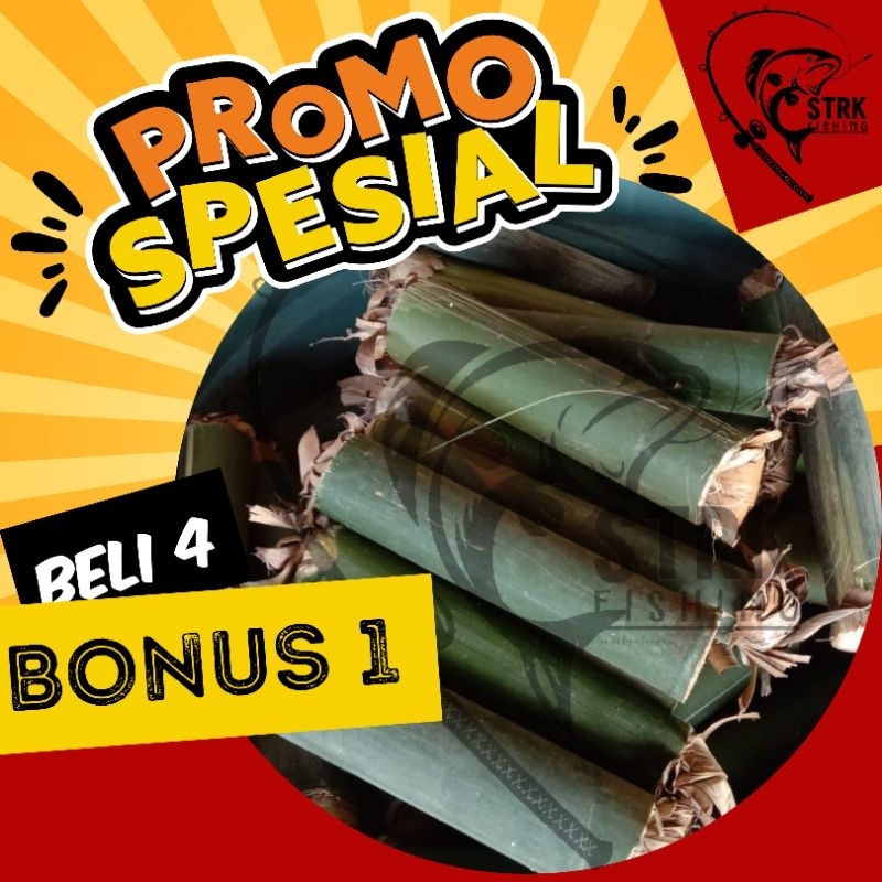 Jual Ulat Bumbung / Ulat Bambu Per-Tabung Isi 25 Ekor Fresh [COD ...