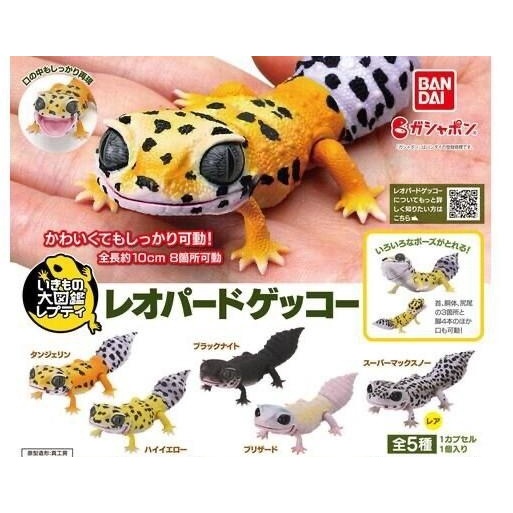 Jual Gashapon Gecko Leopard Gecko The Diversity of Life on Earth Reptil ...