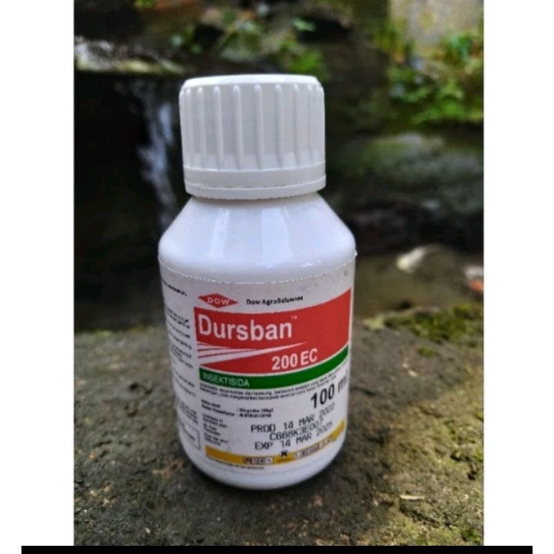 Jual DURSBAN | obat pembasmi hama | INSEKTISIDA | 100ML | Shopee Indonesia
