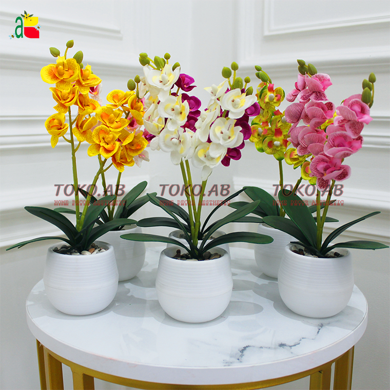 Jual BUNGA ANGGREK SATU PAKET AT-28 DAN AT-22 POT BULAT BATU RB6037 ...