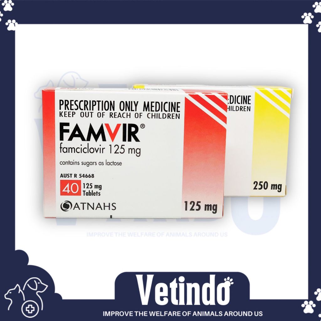 Jual famvir anti virus kucing harga perbox 21 tablet | Shopee Indonesia