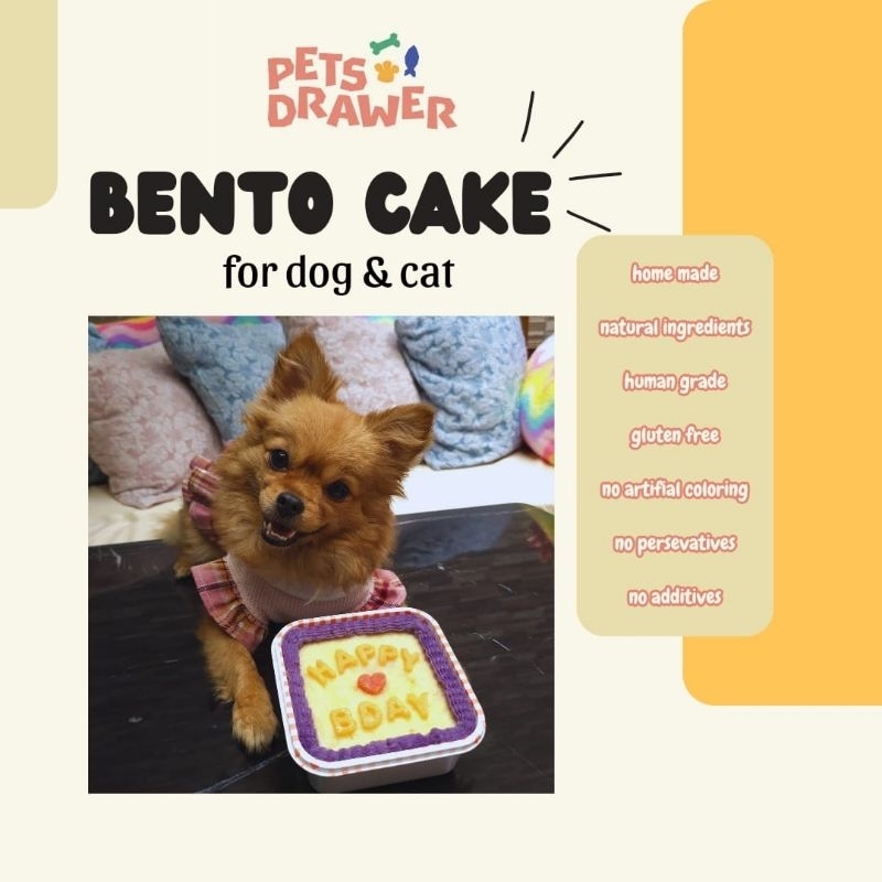 Jual Bento Cake for Dog and Cat / Kue Ulang Tahun Anjing dan Kucing ...