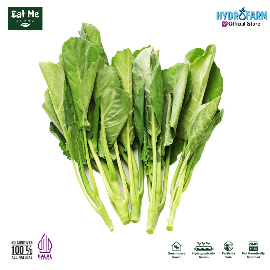Jual Eat Me Brand - Sayur Kailan Hidroponik Kg | Shopee Indonesia