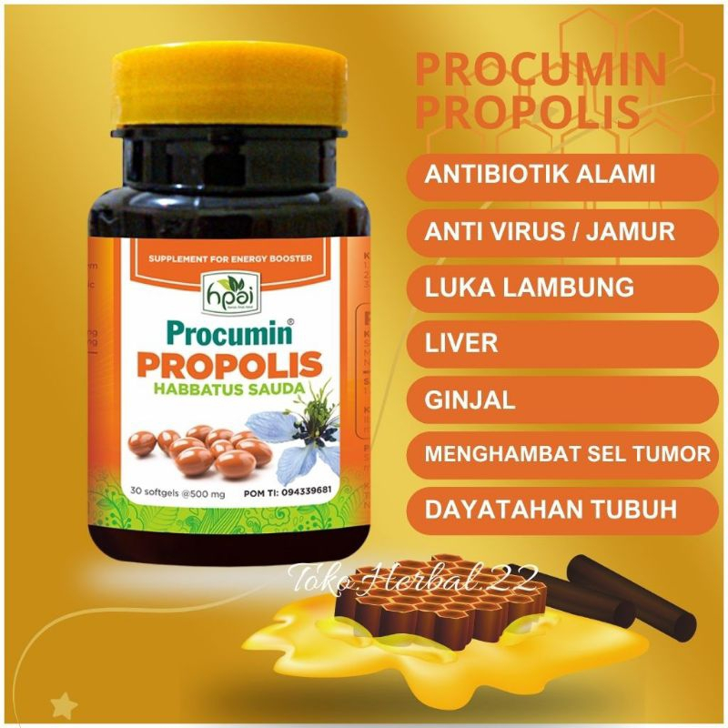 Jual Procumin Propolis HNI isi 50 softgel | Shopee Indonesia