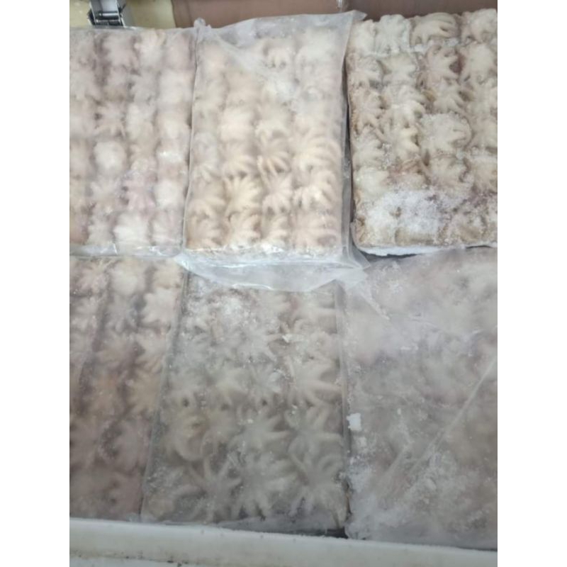 Jual baby gurita kecil whole clean kemasan 2kg 1kg | Shopee Indonesia