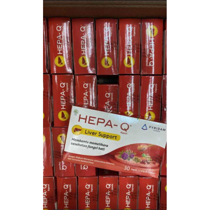 Jual HEPA Q box | Shopee Indonesia