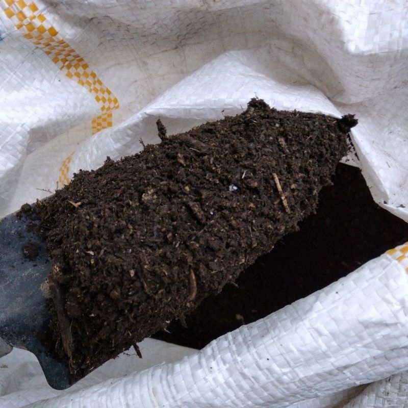 Jual humus atau kompos daun bambu kering 1kg | Shopee Indonesia