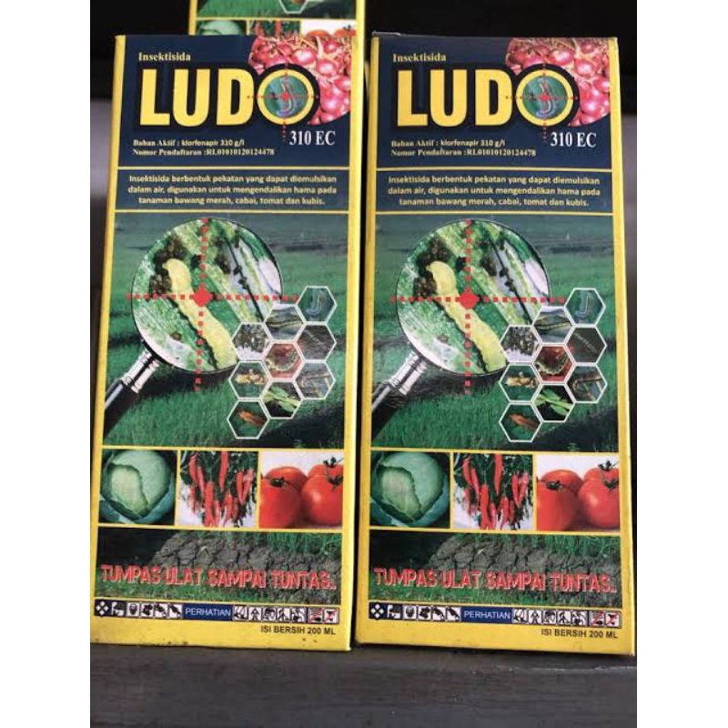 Jual obat insektisida LUDO 200ml | Shopee Indonesia