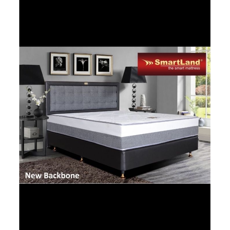 Jual Kasur Set headboard divan atau hanya kasur type New Backbone tebal ...