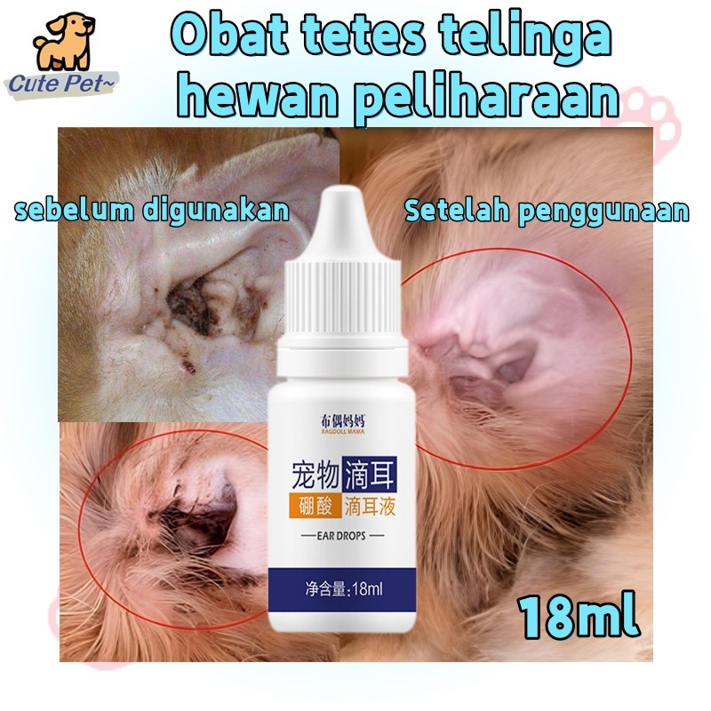 Jual Obat Tetes Telinga Kucing Anti Earmites Conge Gatal dan Infeksi ...