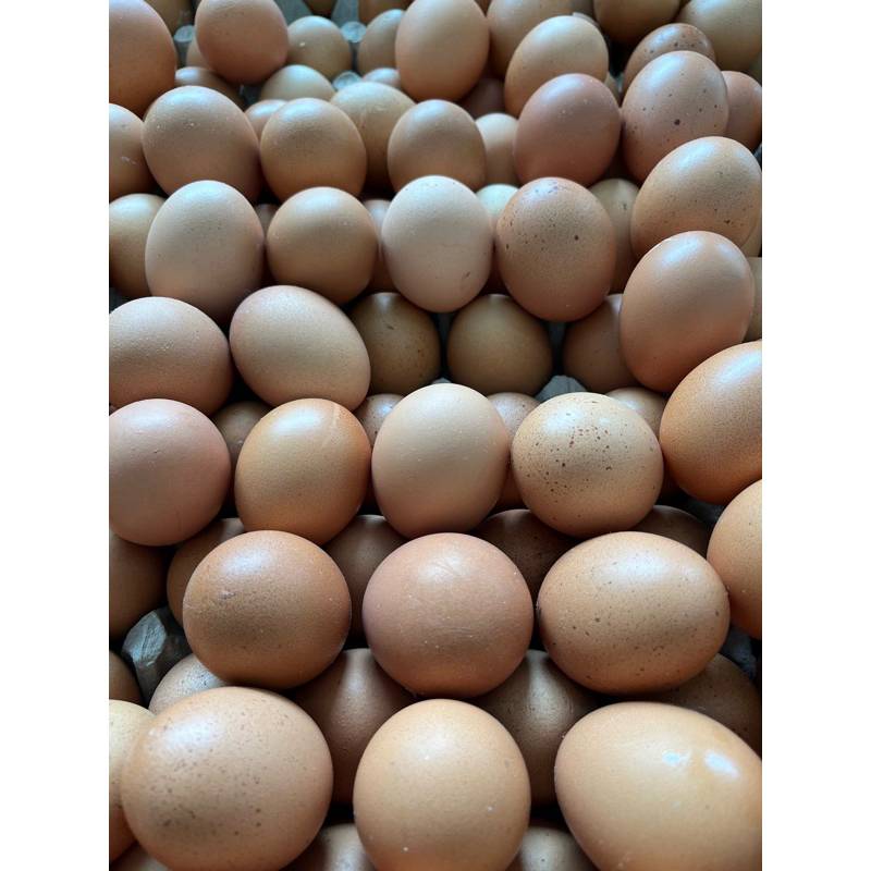 Jual telur telor ayam negeri 1kg | Shopee Indonesia