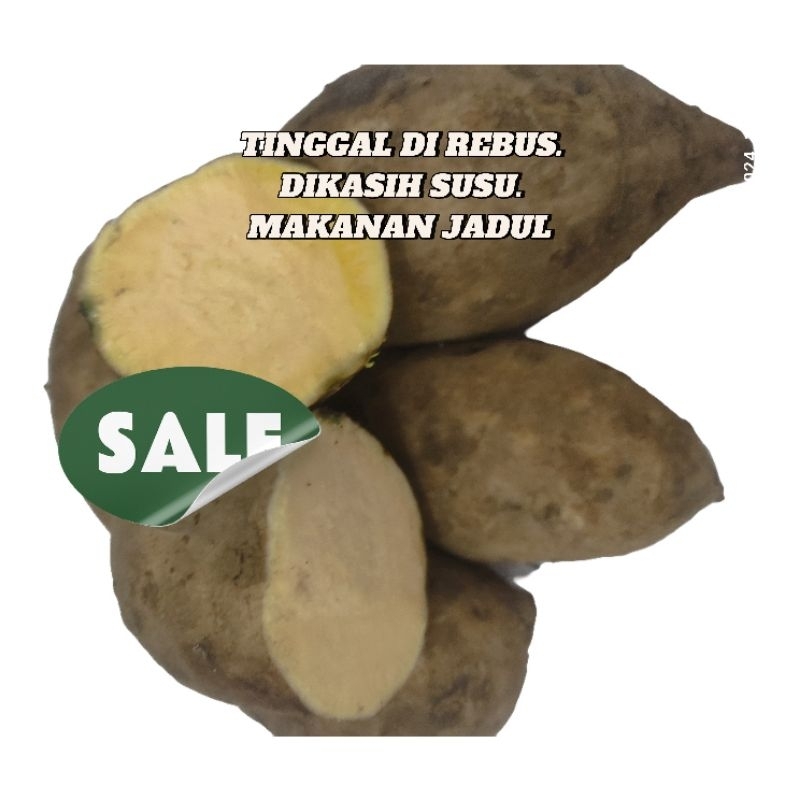 Jual UBI JALAR / BUAH TELAH 2 KG FRESH KUNING TELO MAKANAN JADUL ...