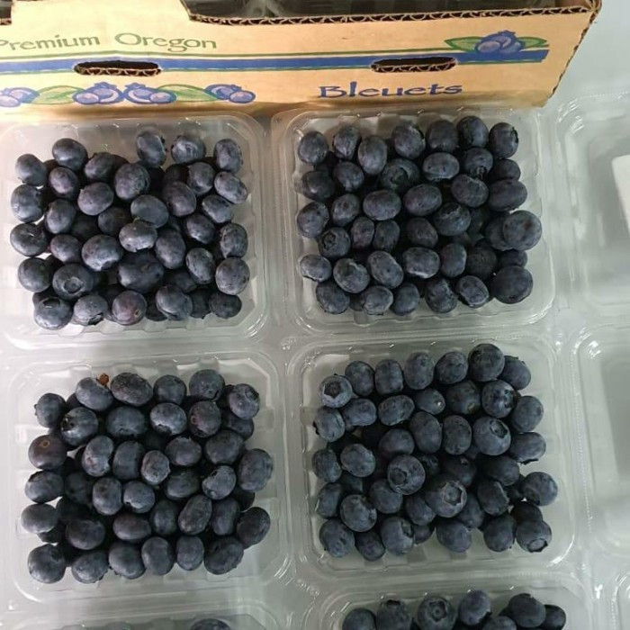 Jual BUAH BLUEBERRY FRESH IMPORT PER PACK | Shopee Indonesia