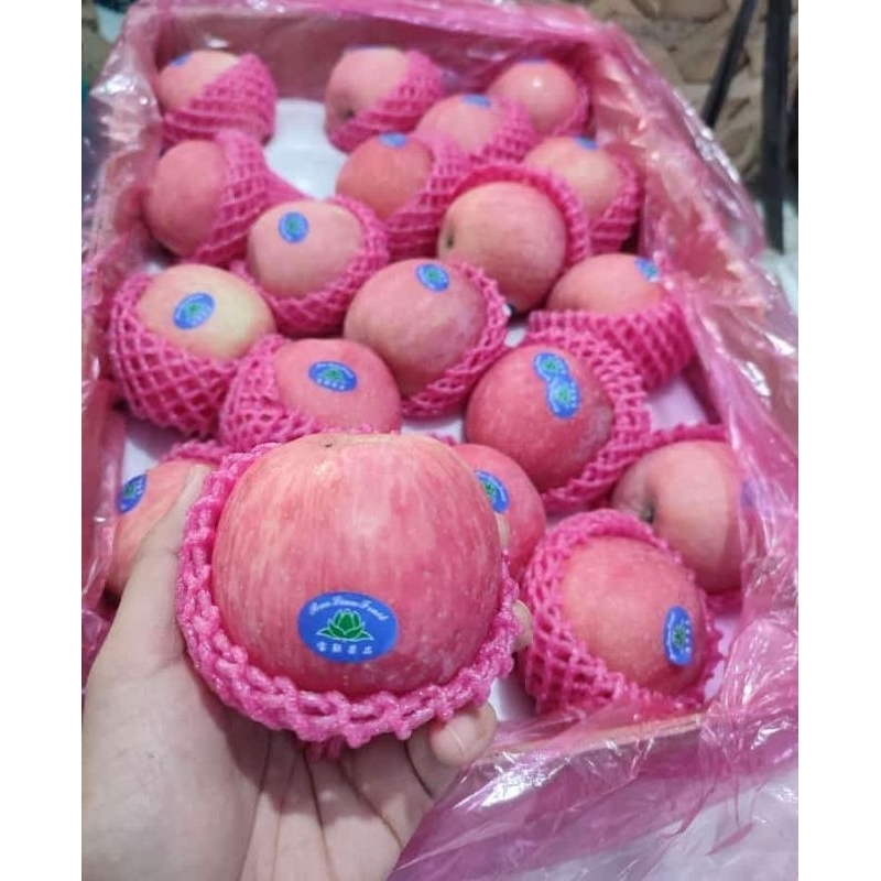 Jual Apel Fuji fresh 1kg (malang) | Shopee Indonesia
