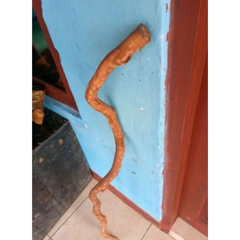 Jual tongkat jalan kayu stigi gunung manis rejo berkrakter | Shopee ...
