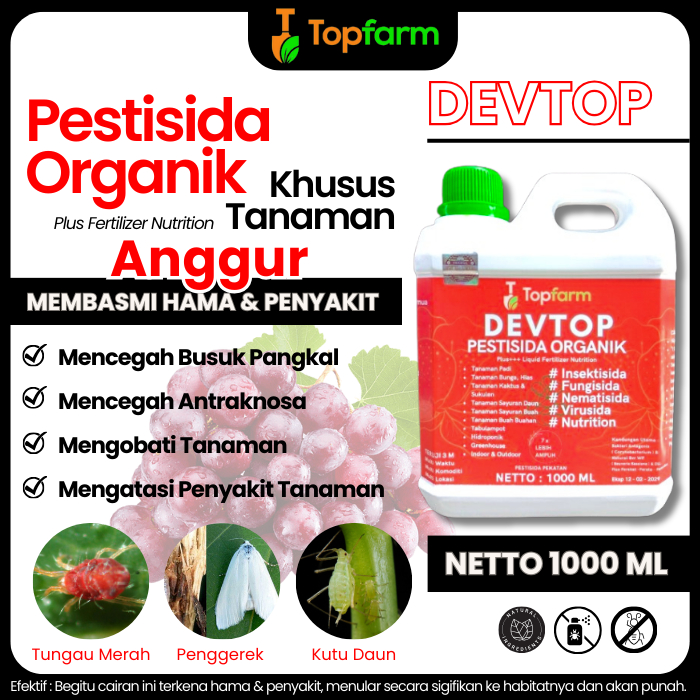 Jual Obat Semprot Hama Daun Anggur / Obat Hama Tanaman Daun Anggur ...