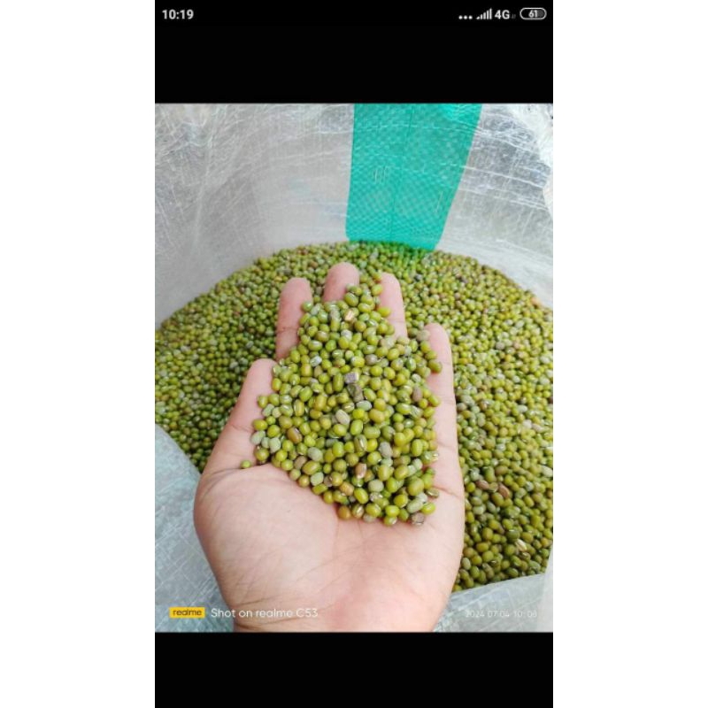Jual kacang hijau(1000g) | Shopee Indonesia
