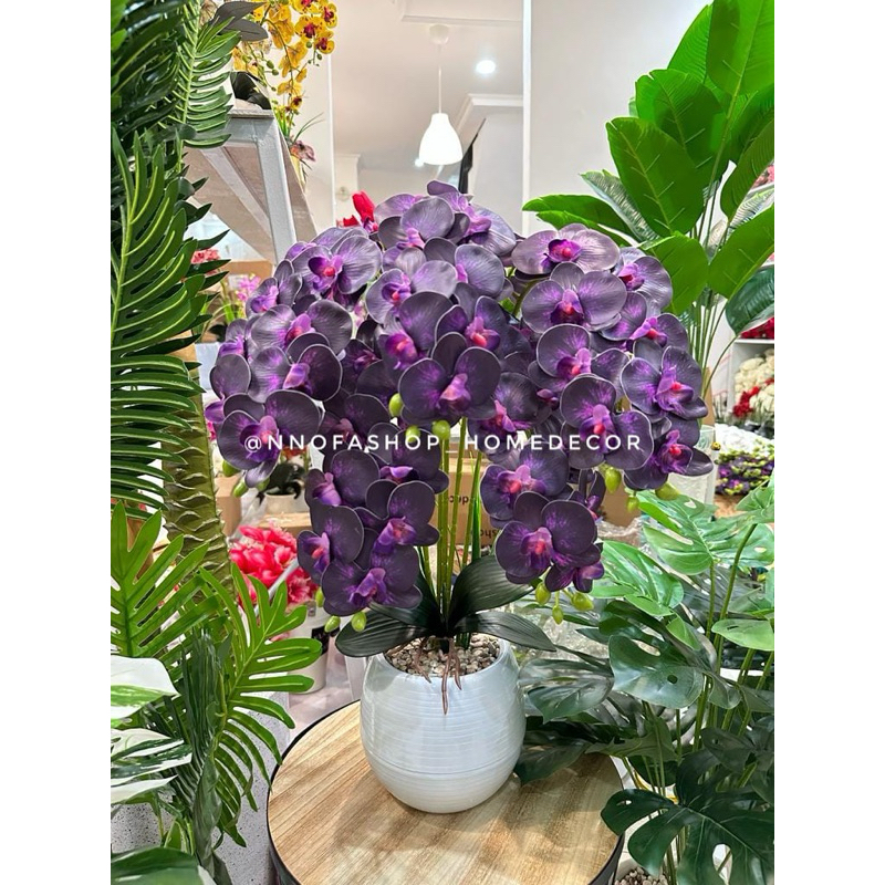 Jual Bunga anggrek cabang 5 super rimbun dengan vas bola | Shopee Indonesia