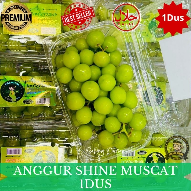 Jual ANGGUR SHINE MUSCAT 1DUS isi 10pack | Shopee Indonesia