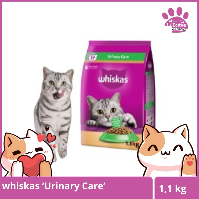 Jual whiskas Urinary care 1,1 kg | Shopee Indonesia