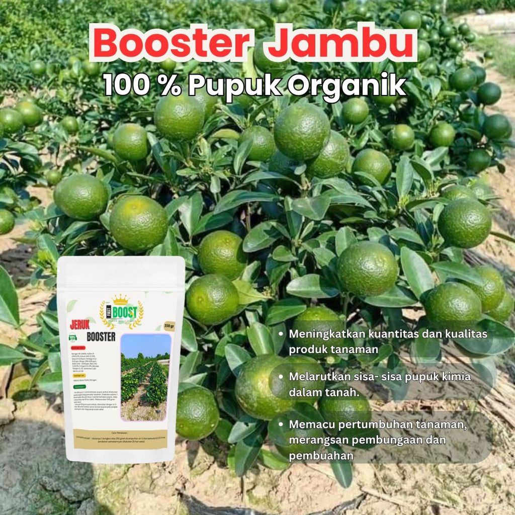 Jual Pupuk Booster Jeruk (250gr) I pupuk organik pelebat tanaman I pupuk organik perangsang buah ...
