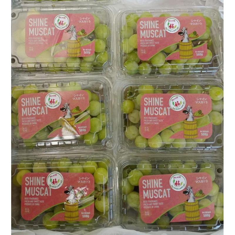 Jual Anggur Muscat Hijau | Shopee Indonesia