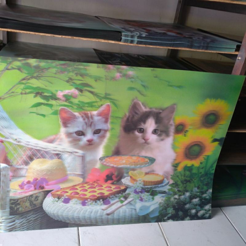 Jual POSTER 3 DIMENSI 2 KUCING LUCU UKURAN JUMBO 58X77 CM (TERLIHAT ...