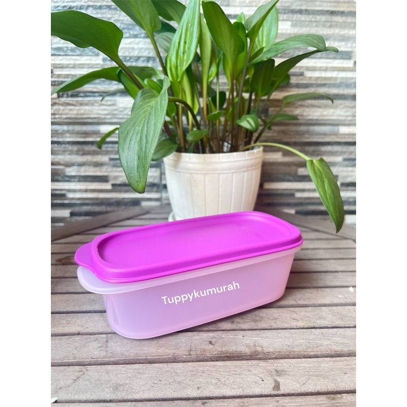 Jual modular mate oval 500ml | Shopee Indonesia