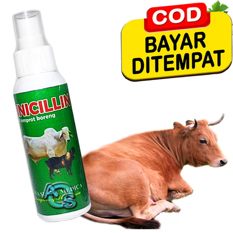 Jual Obat Koreng Sapi Anti Gudik Kambing Kerbau Basmi Jamur Semprot ...