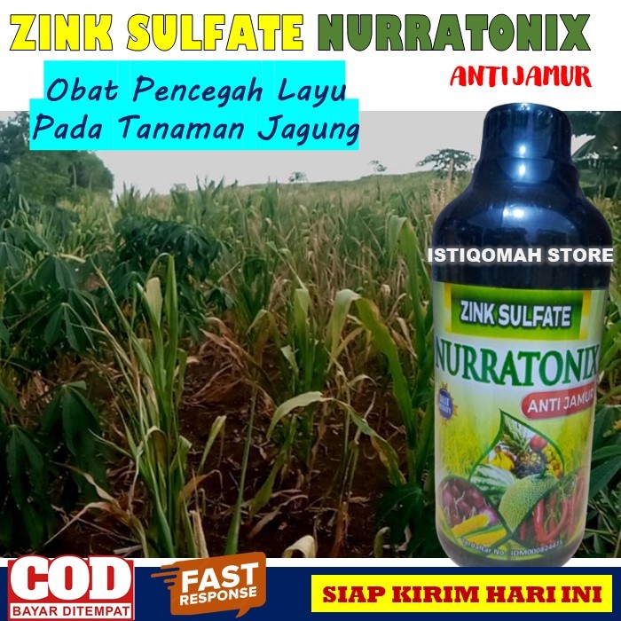 Jual Pupuk Cair Pencegah Anti Layu Daun Batang Tanaman Jagung Bulai Paling Ampuh ZINK NURRATONIX ...