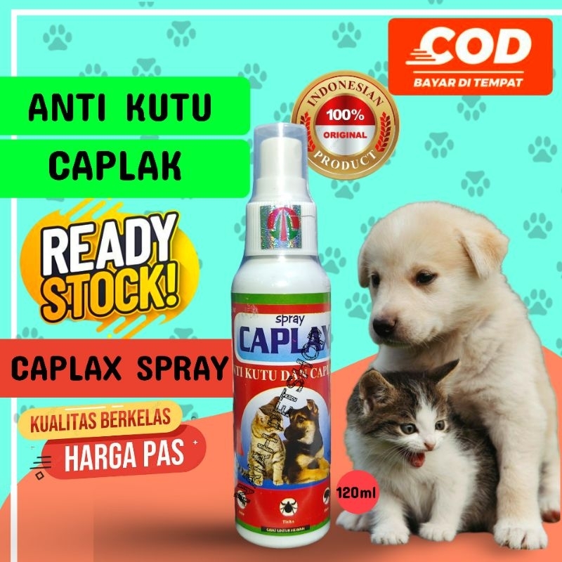 Jual CAPLAX Spray 120 Membasi Kutu Caplak Anjing Dan Kucing | Shopee ...