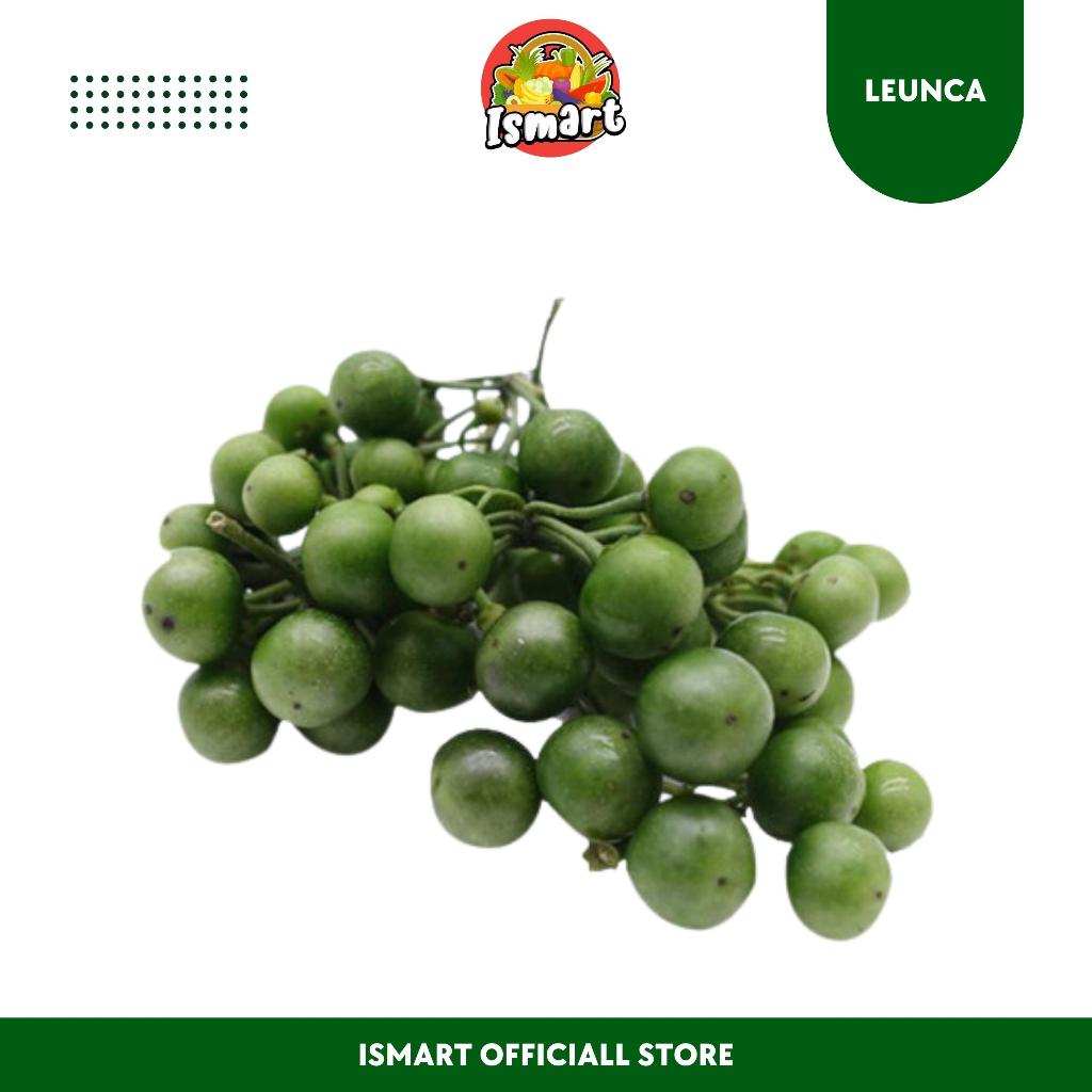 Jual ISMART|Sayur Leunca Organik Fresh-Khusus Pengiriman Untuk ...