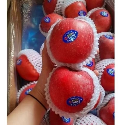Jual Apel Premium Korean Sun Shine Fresh/500gr | Shopee Indonesia