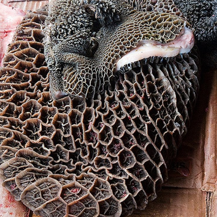 Jual Babat Jeroan Sapi Mentah - Babat Hitam / Babat Putih | Shopee ...