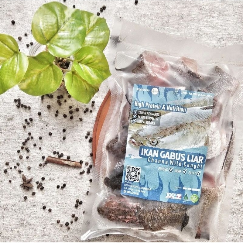 Jual IKAN GABUS LIAR ( FILLET IKAN GABUS, IKAN GABUS POTONG, TELUR IKAN ...