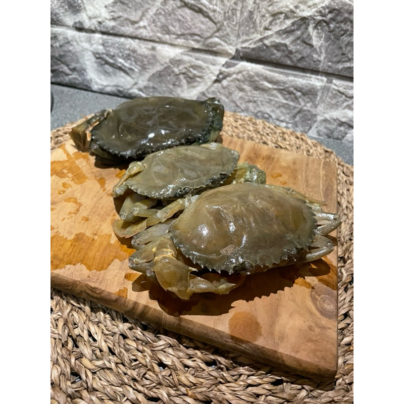 Jual Kepiting Soka Frozen Segar / Fresh Frozen Soft Shell Crab isi 7-10 ...