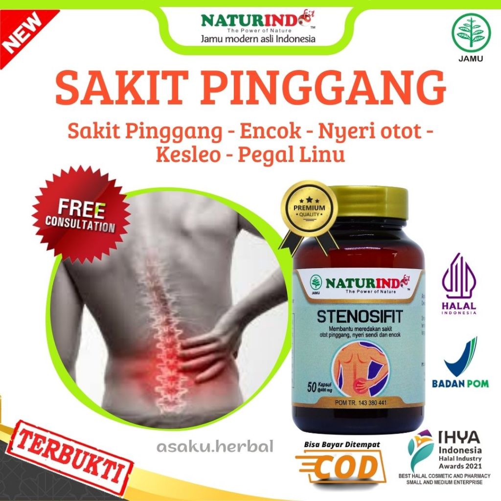 Jual Obat Sakit Pinggang Saraf Kejepit Encok Nyeri Pinggang Pegal linu ...