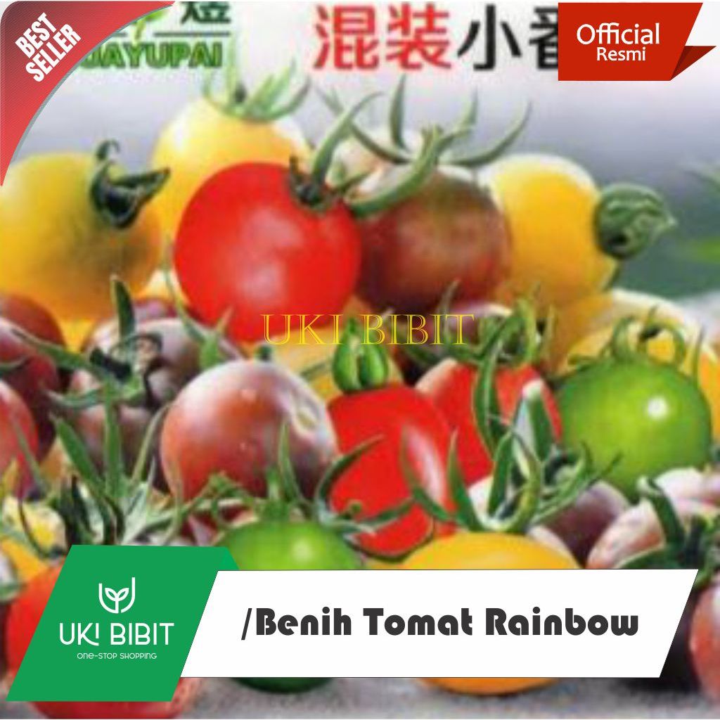 Jual ( 10 Butir ) Benih Biji Tomat Rainbow | Tomat Pelangi | Tomat Warna Warni | Shopee Indonesia