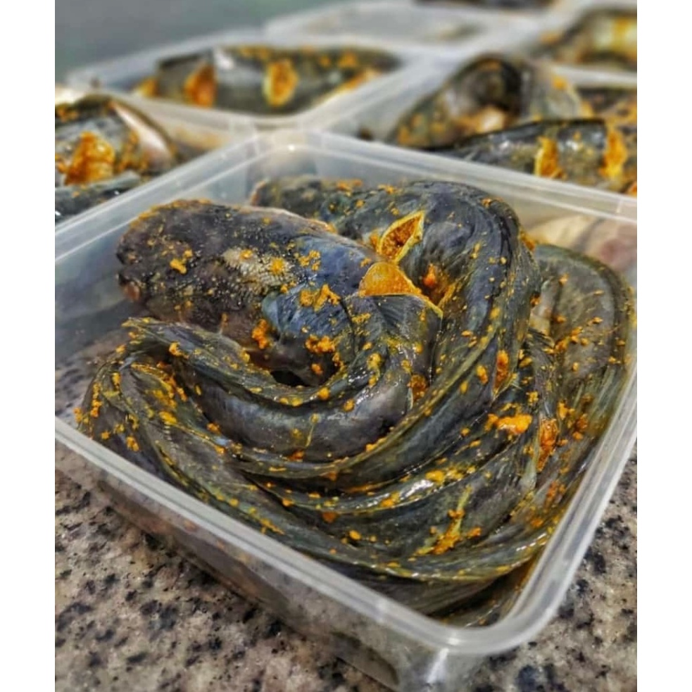 Jual Lele Bumbu Kuning Frozen Siap Goreng (500 gram) | Shopee Indonesia