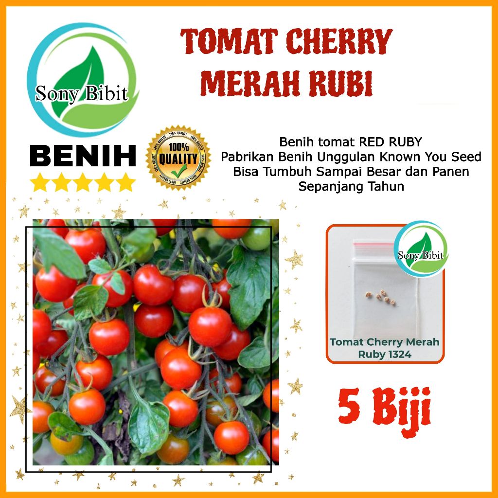 Jual 5 Benih Tomat Cherry Red Ruby Known You Seed Kemasan Ekonomis ...