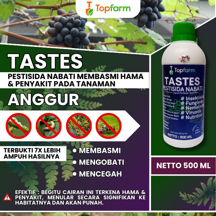 Jual Obat Semprot Hama Daun Anggur / Obat Hama Tanaman Daun Anggur ...