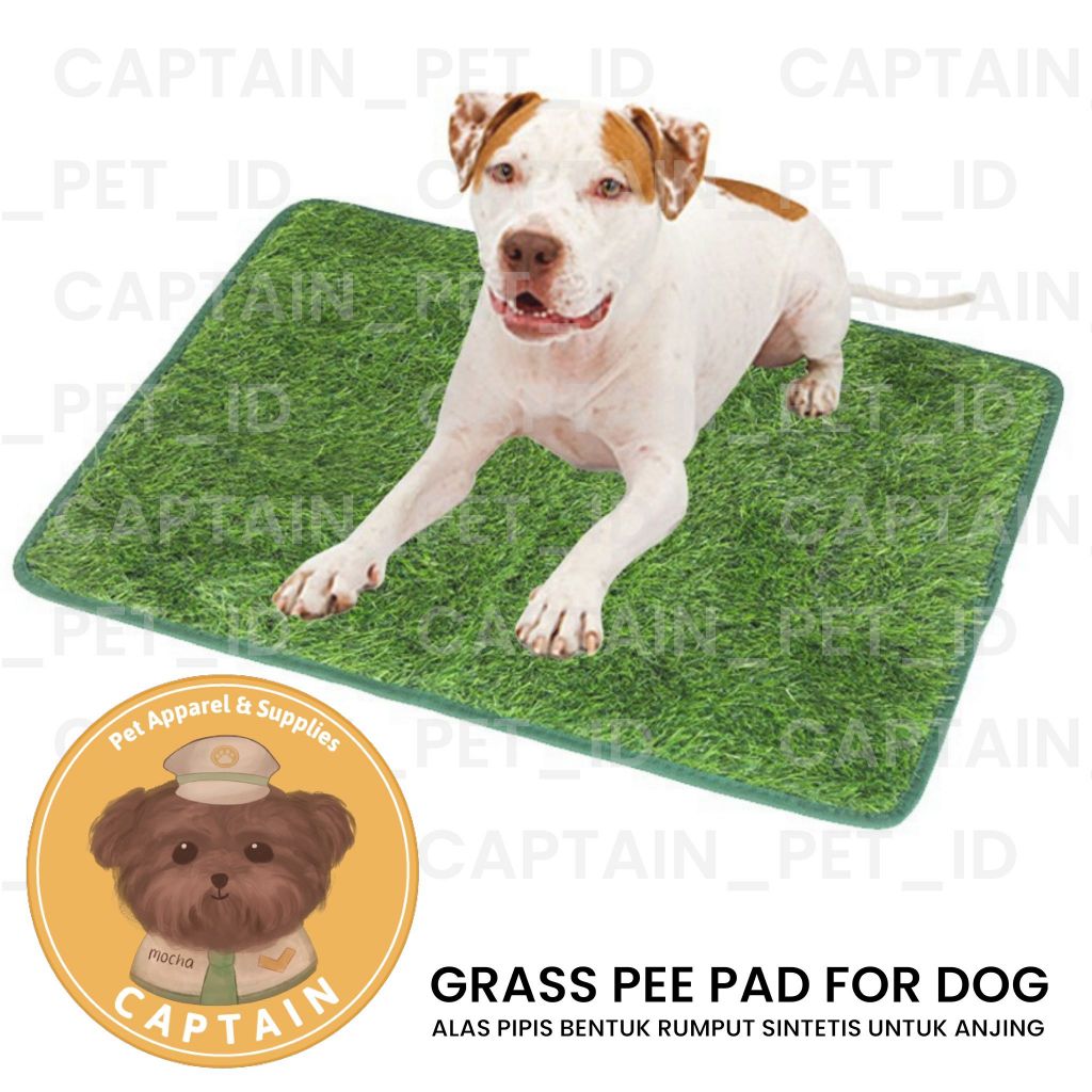 Jual GRASS PEE PAD DOG POTTY TRAINING ALAS PIPIS BISA CUCI WASHABLE ...