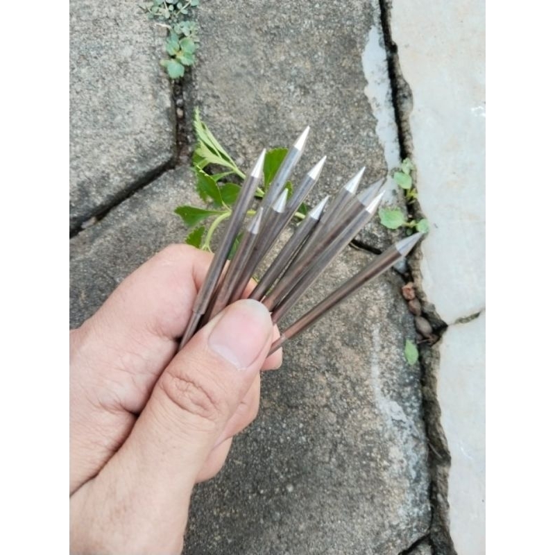 Jual Paser ikan staindless panjang 17cm od 4mm (paket isi 5pcs ...
