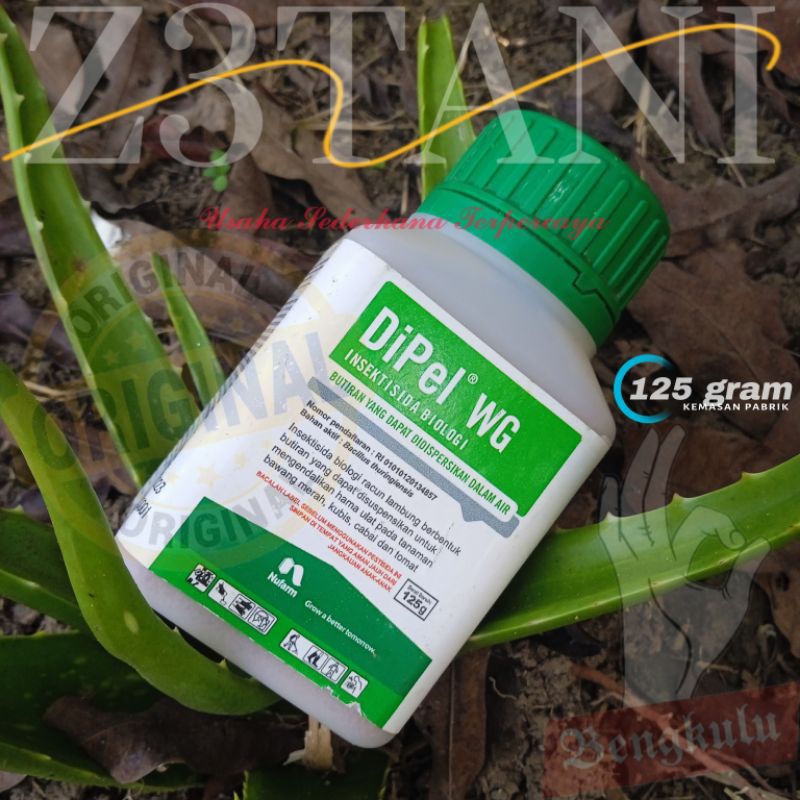 Jual Insektisida Biologi DIPEL WG 125GRAM NUFARM ORIGINAL | Shopee ...