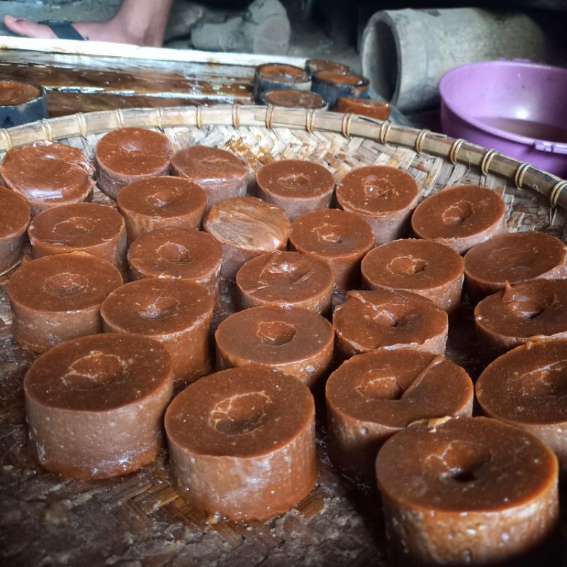Jual 1KG GULA AREN ASLI DI PANEN LANGSUNG DARI GUNUNG | Shopee Indonesia