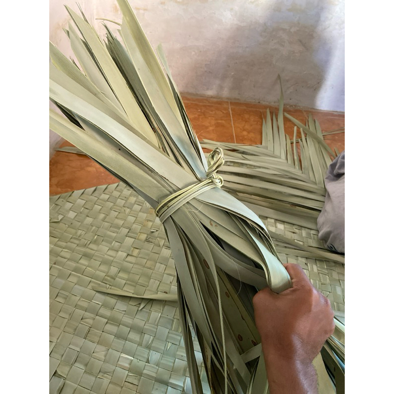 Jual Daun Lontar/Siwalan siap pakai | Shopee Indonesia