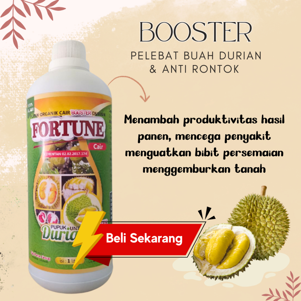 Jual Pupuk Durian Supaya Cepat Berbuah Lebat Besar dan Manis, Booster Buah Durian Agar Lebih ...